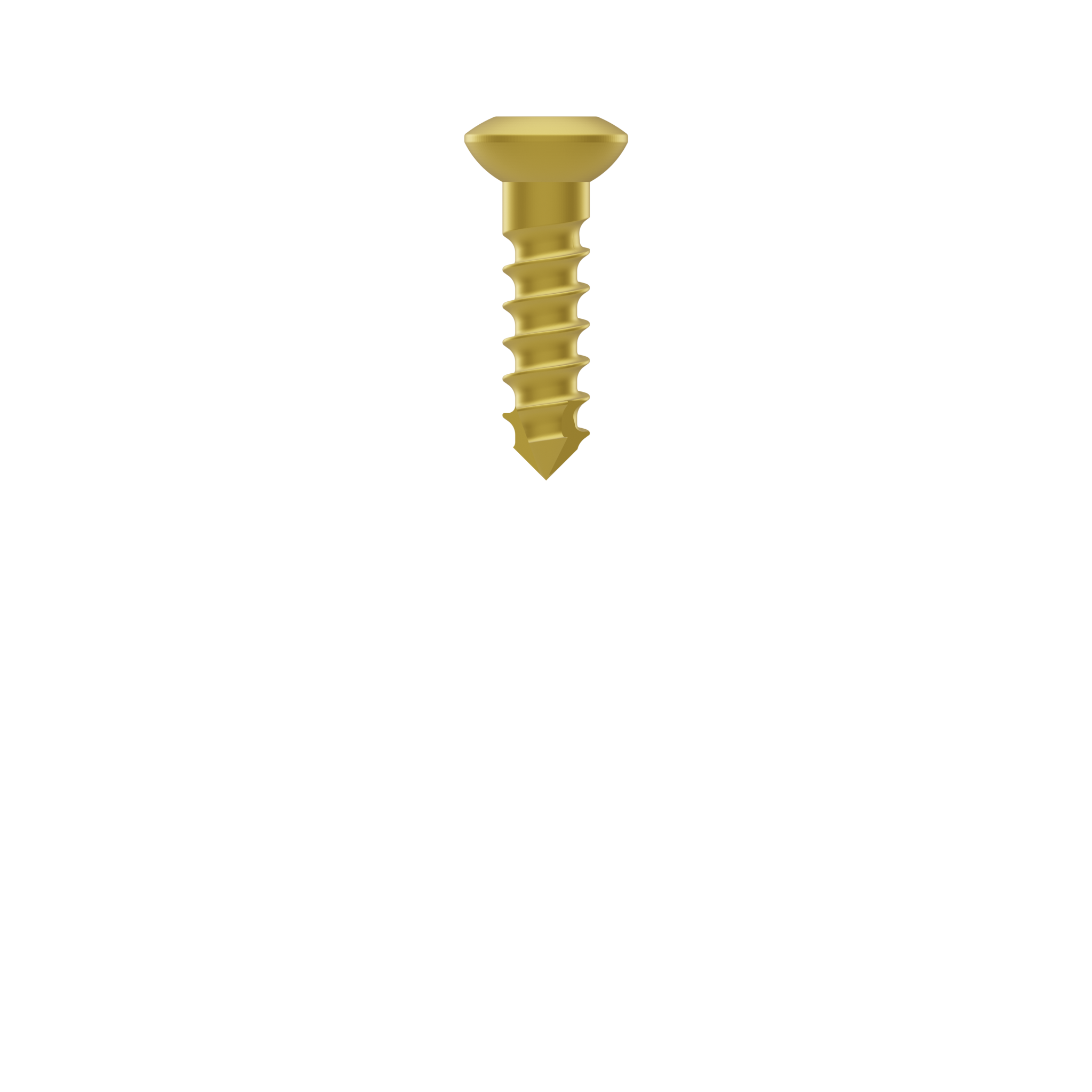 2 4 Mm Hex head Titanium Self tapping Cortical Screw OssAbility Limited 2-4-mm-hex-head-titanium-self-tapping-cortical-screw-ossability-limited