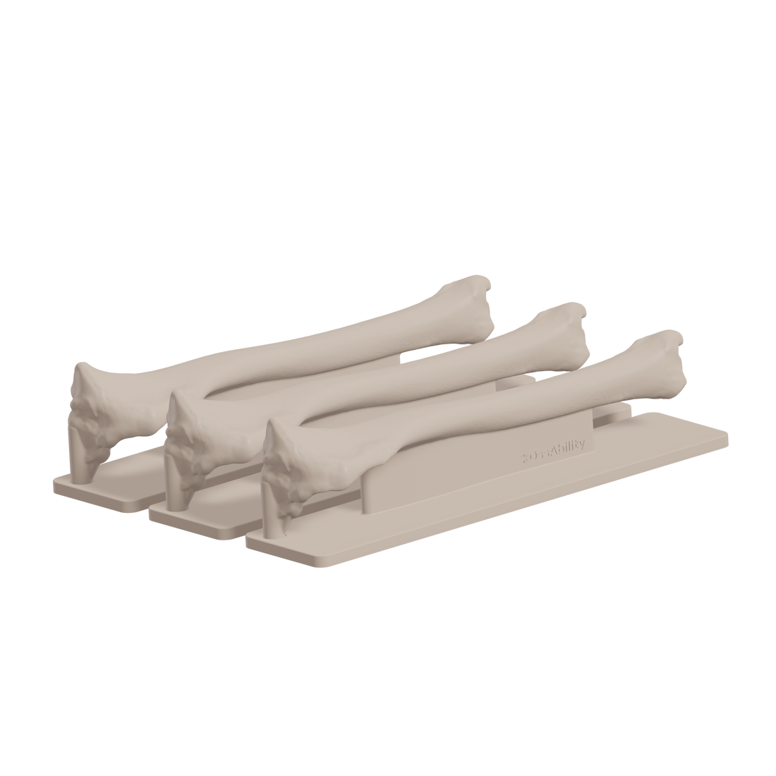 Training Models – OssAbility Limited