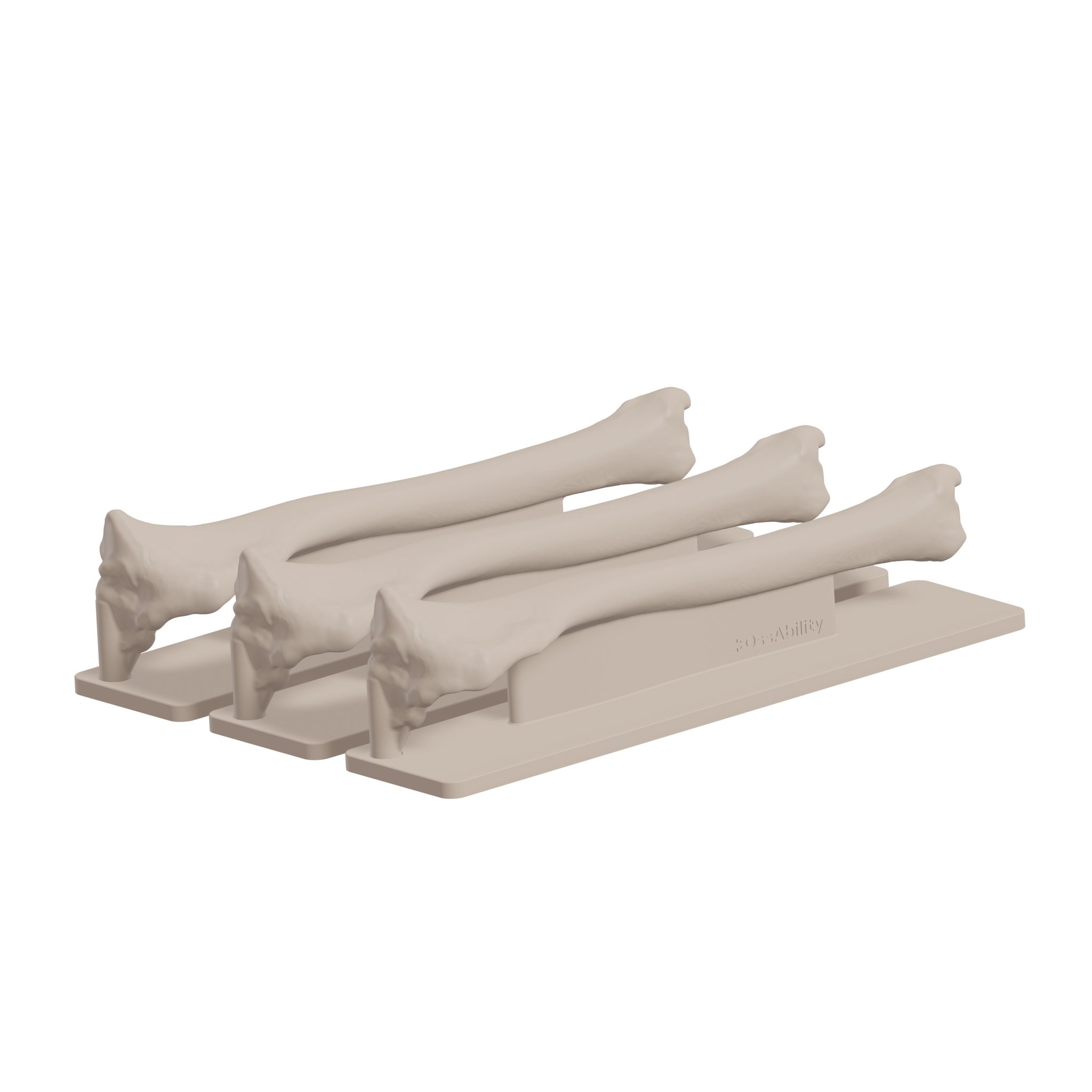 Training Models – OssAbility Limited